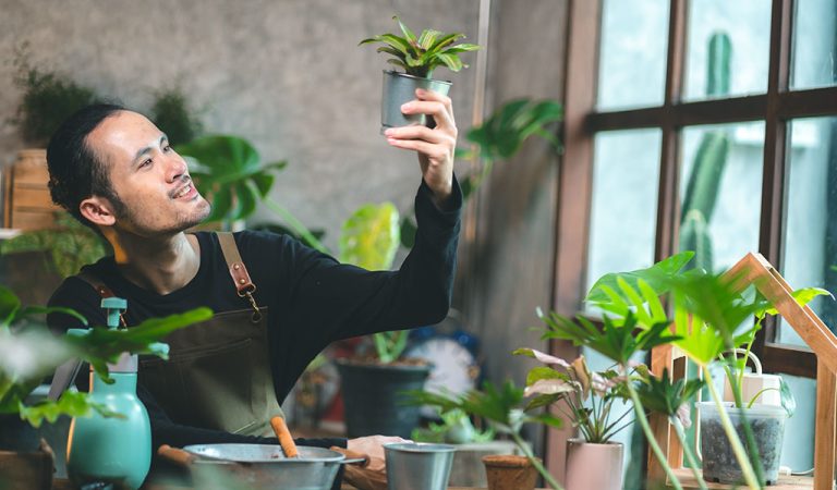 What Is Green Living? Your Comprehensive Guide to Sustainable Lifestyle ...