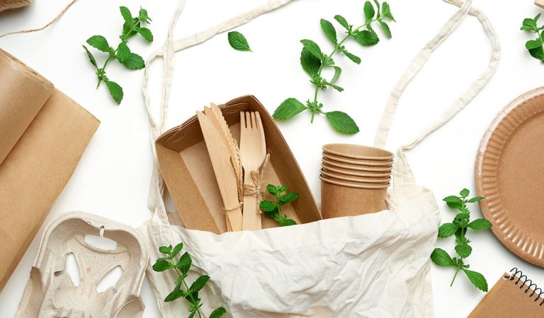 What Is Green Living? Your Comprehensive Guide to Sustainable Lifestyle ...