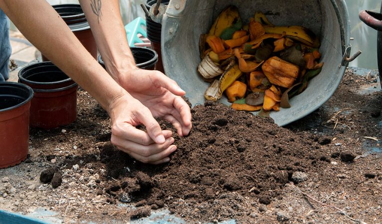 Green Cleaning: 10 Eco-Friendly Energy Tips for Homeowners ...