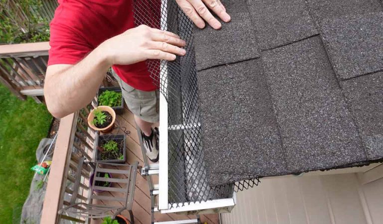 How to Install Gutter Guards: A Step-by-Step Guide for DIY Enthusiasts - caelusgreenroom