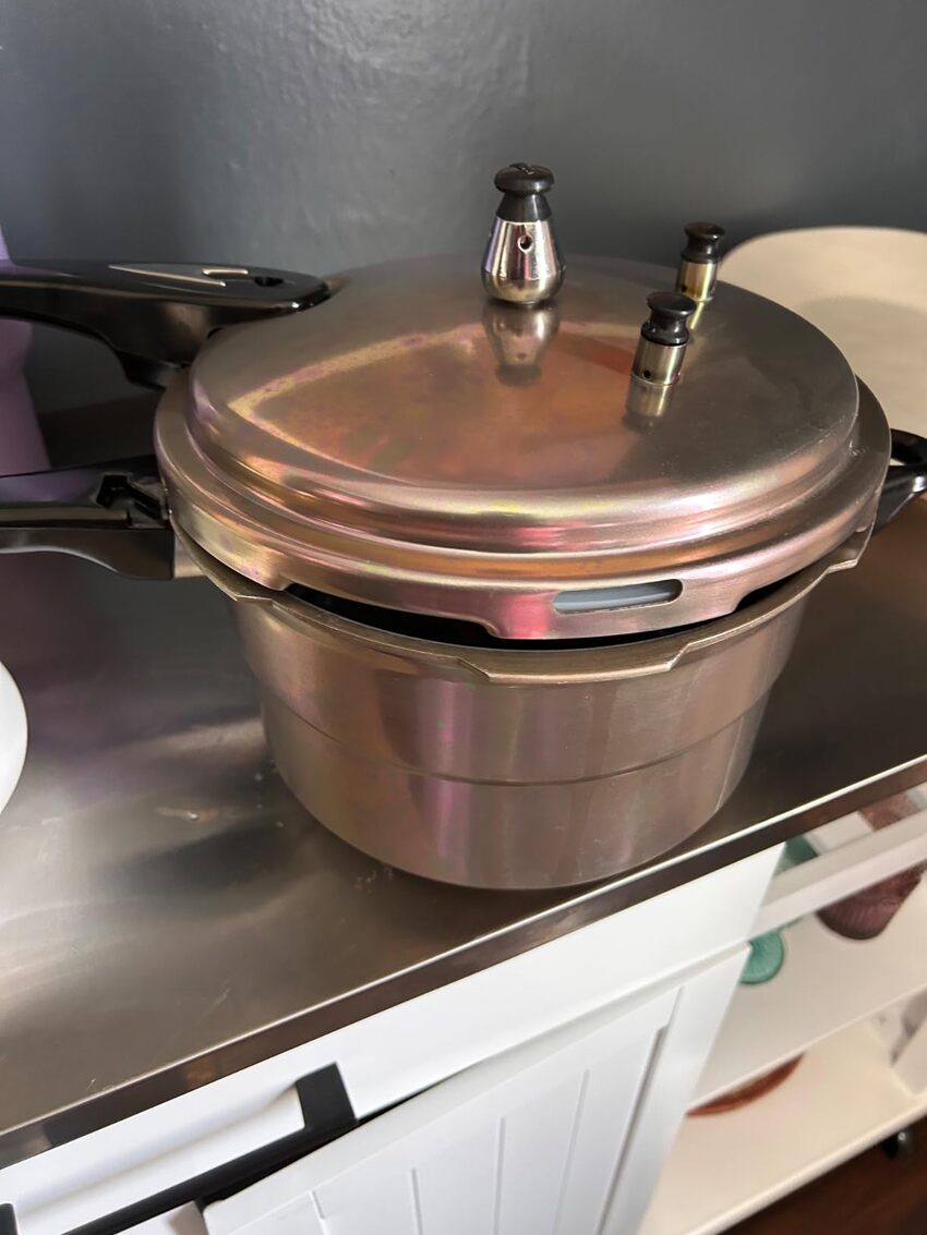 6 Best Canners For Induction Cooktops of 2025 - caelusgreenroom