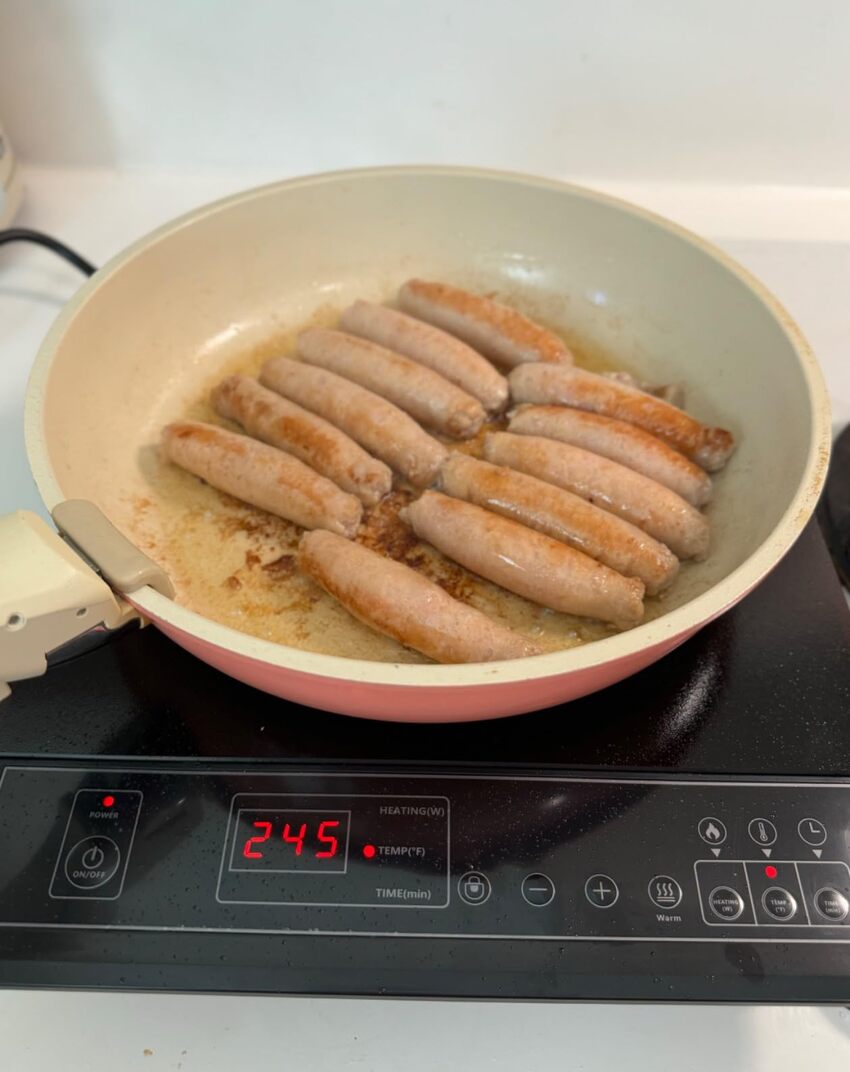 6 Best 110V Induction Cooktops to Buy in 2025 - caelusgreenroom